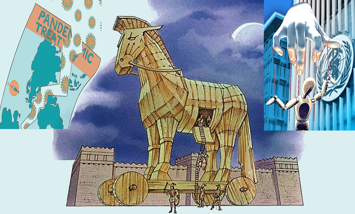 Споразумението за пандемичната готовност: троянски кон в крепостта на ...